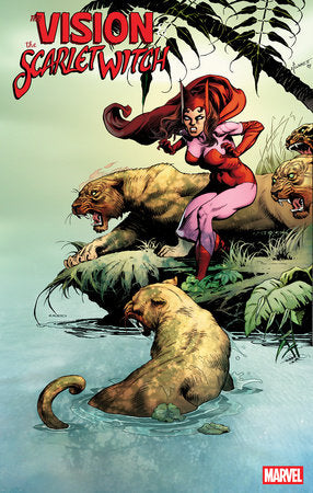 THE VISION & THE SCARLET WITCH #1 SANDY PLUNKETT HIDDEN GEM VARIANT[1: